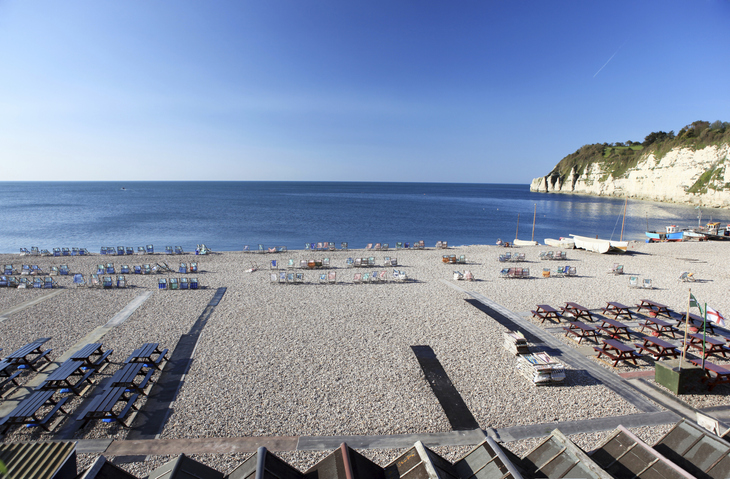 East Devon Excellence - Visit East Devon