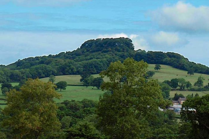 East Devon Excellence - Visit East Devon