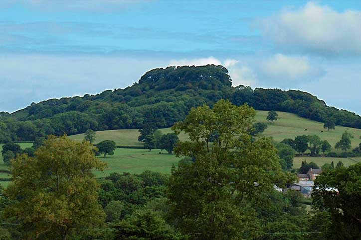 East Devon Excellence - Visit East Devon